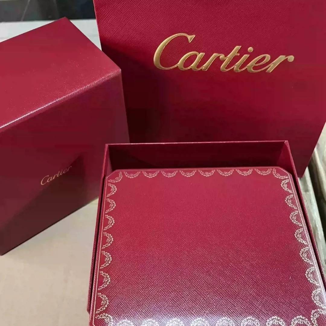 Luxury Watch Packaging - Blingdo Watch